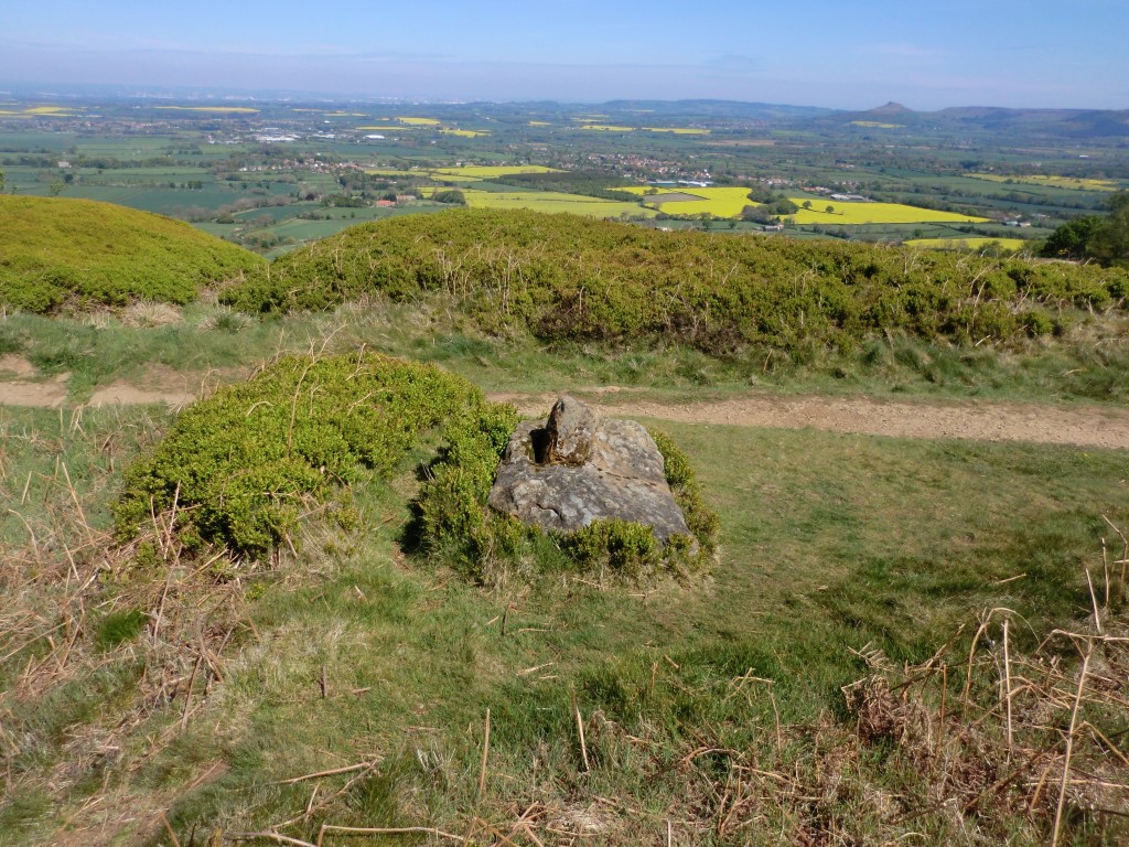 Donna Cross, Yorkshire (North) | Megalithic Portal