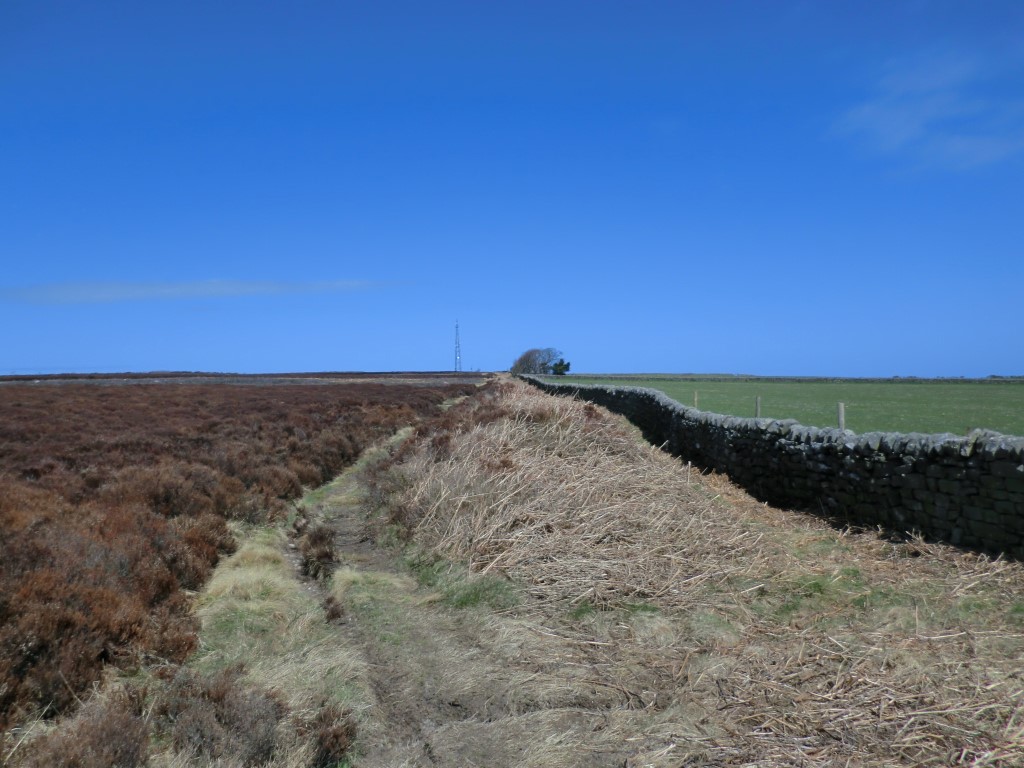 Green Dike and Three Lords’ Stones (Staintondale) Misc. Earthwork : The ...