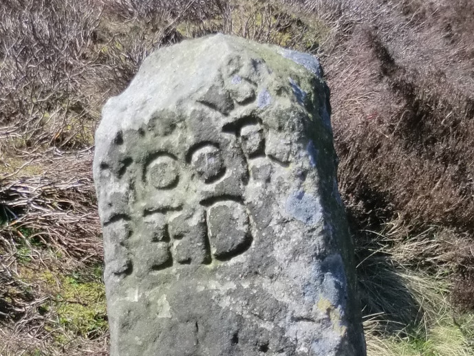 Rudland Rigg Guide Stone GS2 Marker Stone : The Megalithic Portal and ...