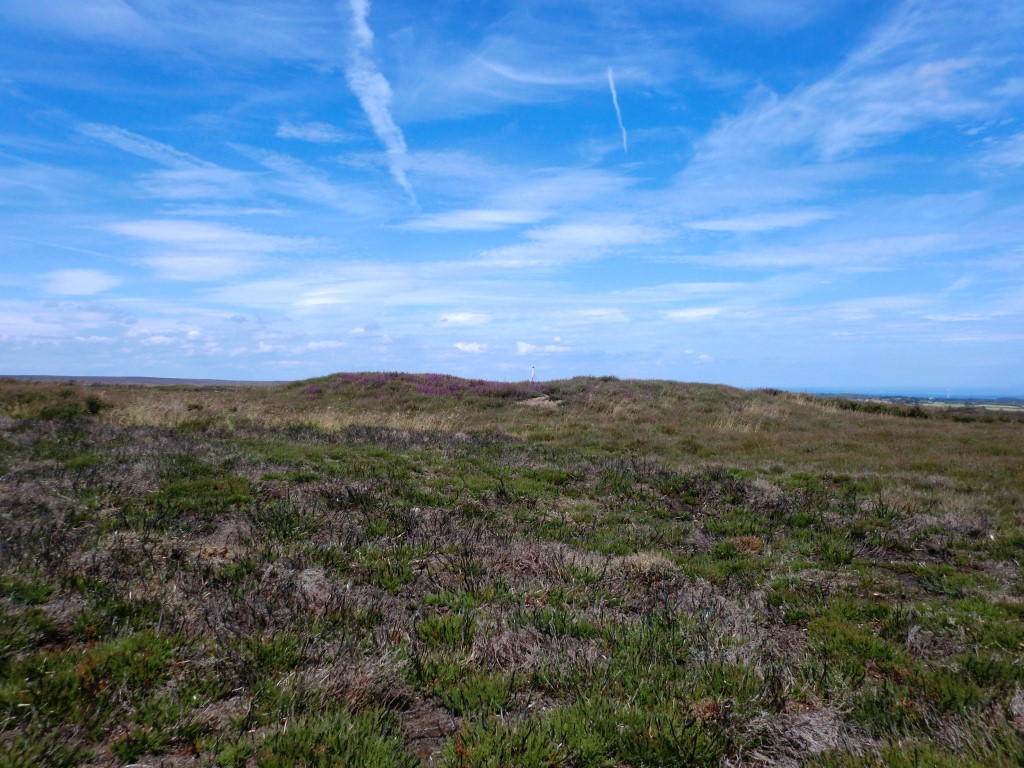 Siss Cross Hill - RBD Round Barrow(s) : The Megalithic Portal and ...