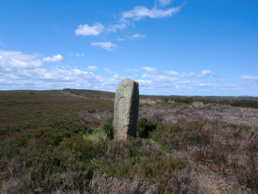 Long Stone (Easington High Moor), Yorkshire (North) | Megalithic Portal