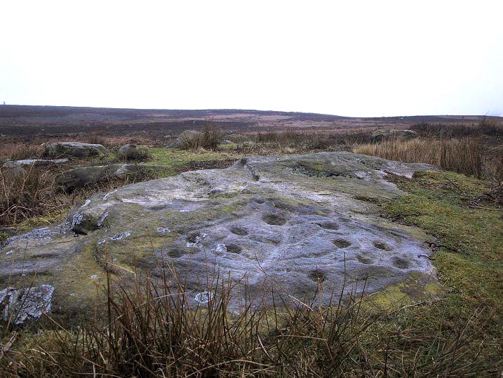 Tree of Life Stone, Yorkshire (North) | Megalithic Portal