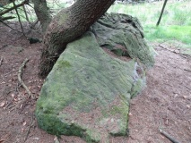 Feldom Ranges 8a Gallery : The Megalithic Portal and Megalith Map: