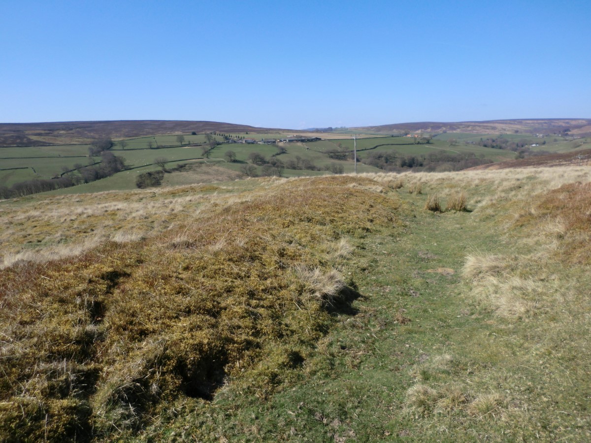 Box Hall Defended Settlement, Yorkshire (North) | Megalithic Portal