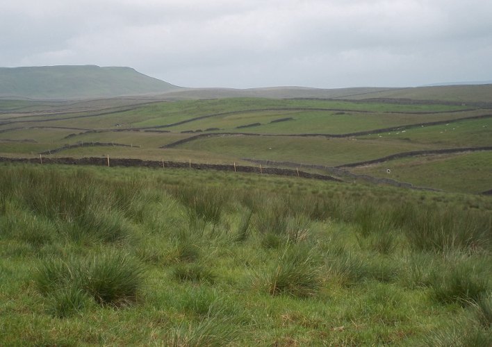 Castle Dykes, Yorkshire (North) | Megalithic Portal