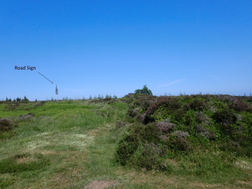 William Howe Rigg - Cross Dyke North Misc. Earthwork : The Megalithic ...