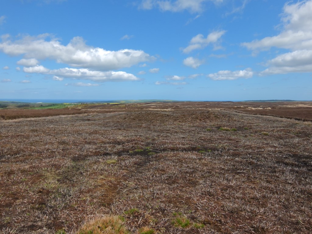 Siss Cross Hill - RBD Round Barrow(s) : The Megalithic Portal and ...