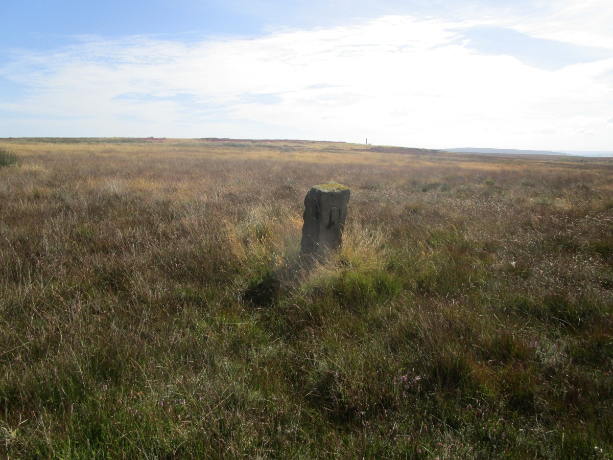 Low Brown Hill BS1 (Commondale), Yorkshire (North) | Megalithic Portal