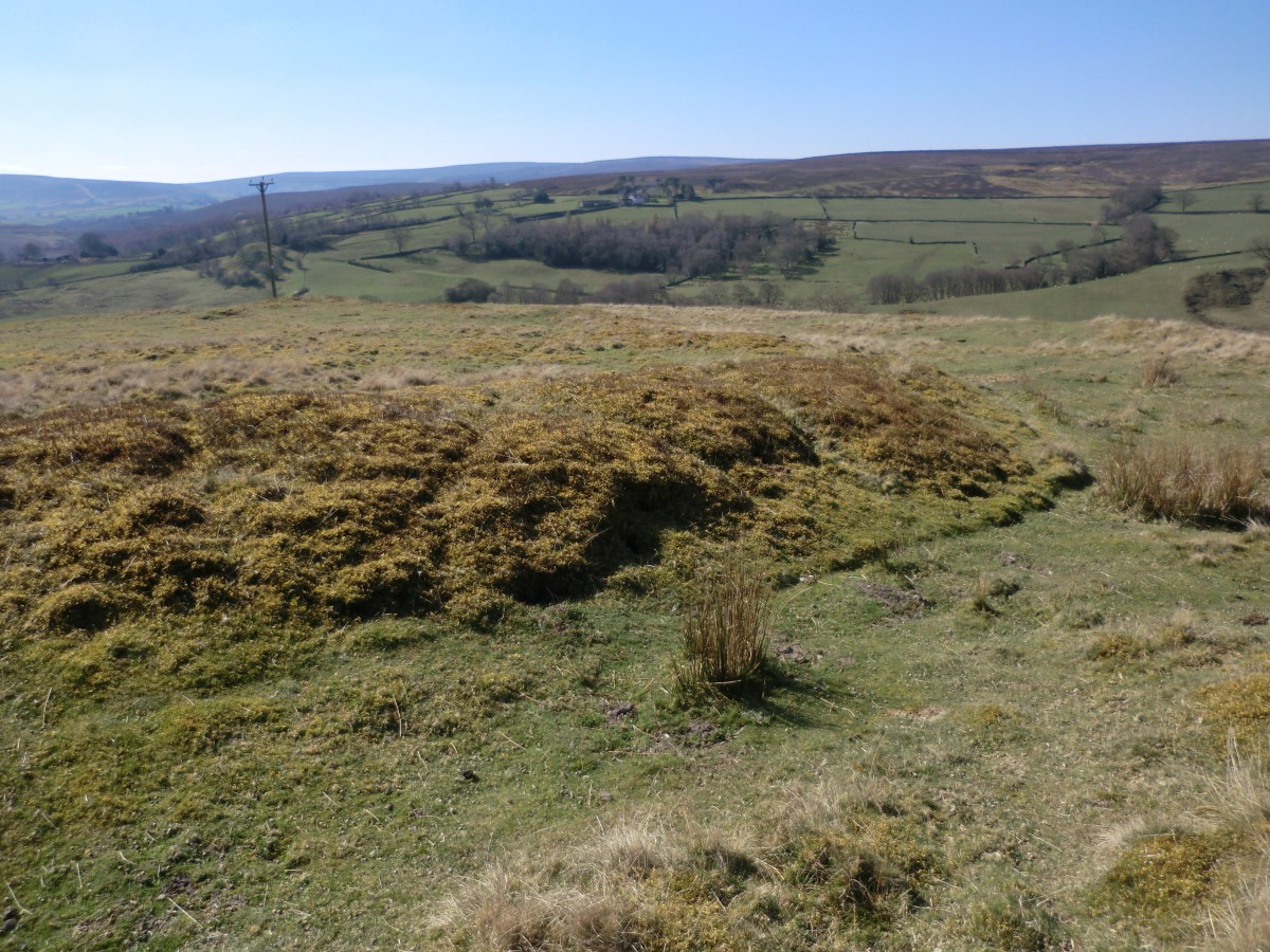 Box Hall Defended Settlement, Yorkshire (North) | Megalithic Portal