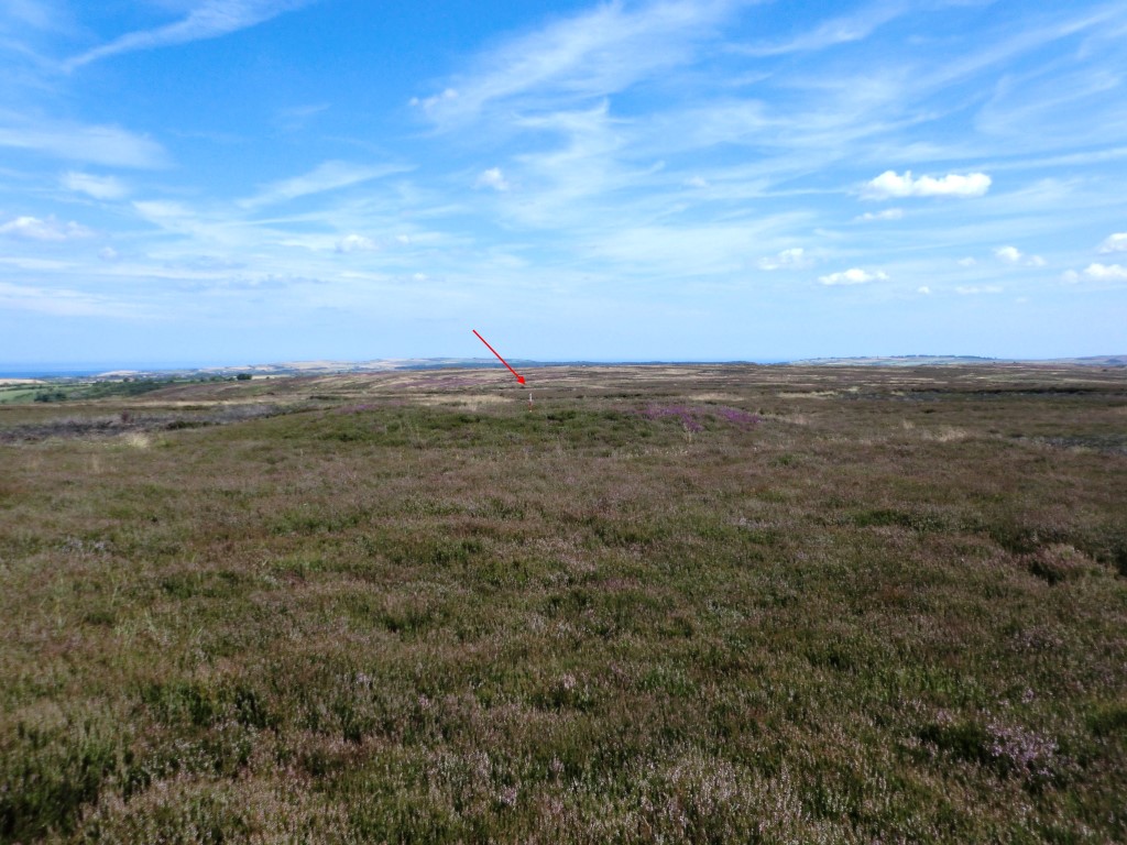 Siss Cross Hill - RBD Round Barrow(s) : The Megalithic Portal and ...