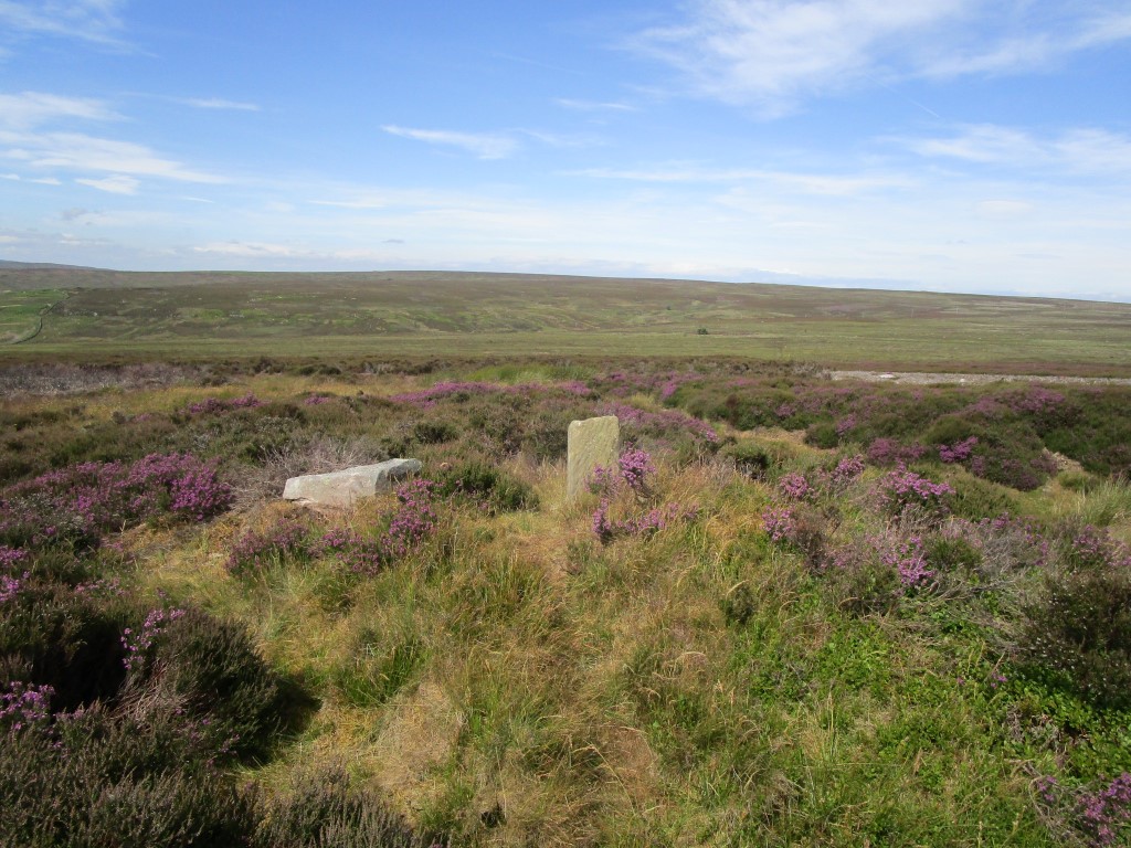 Tod Howe, Yorkshire (North) | Megalithic Portal