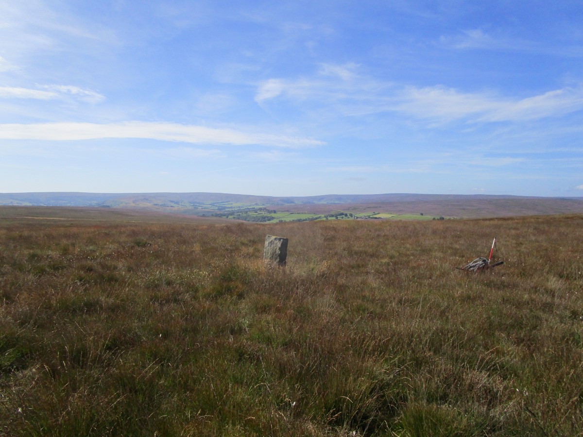 Low Brown Hill BS1 (Commondale), Yorkshire (North) | Megalithic Portal