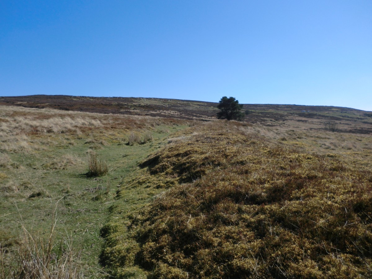 Box Hall Defended Settlement, Yorkshire (North) | Megalithic Portal