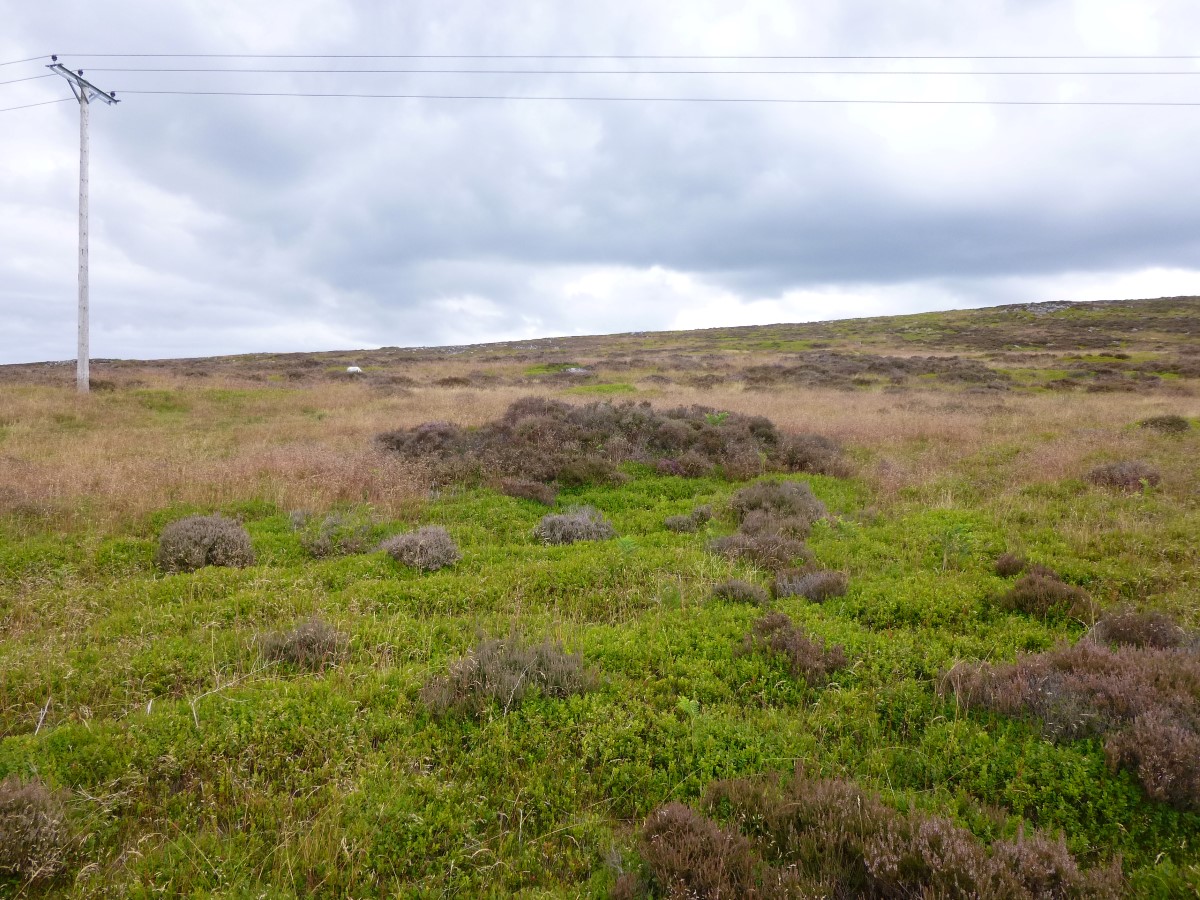 Box Hall RB1, Yorkshire (North) | Megalithic Portal