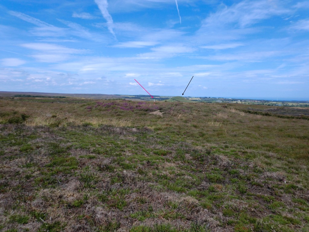 Siss Cross Hill - RBD Round Barrow(s) : The Megalithic Portal and ...