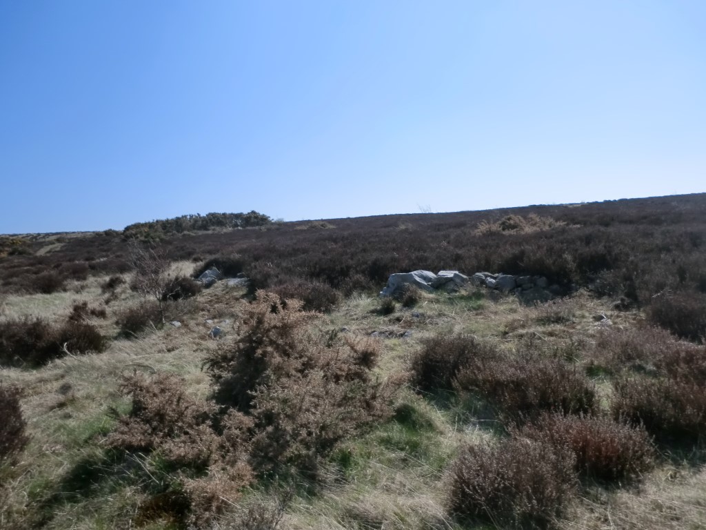 Stony Marl Ring Cairn 1 Ring Cairn : The Megalithic Portal and Megalith ...