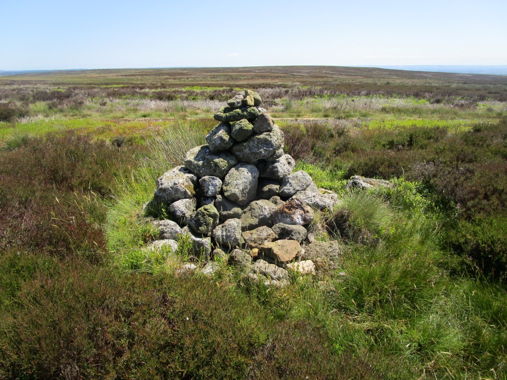 Rudland Rook (Blakey Ridge) Marker Stone : The Megalithic Portal and ...