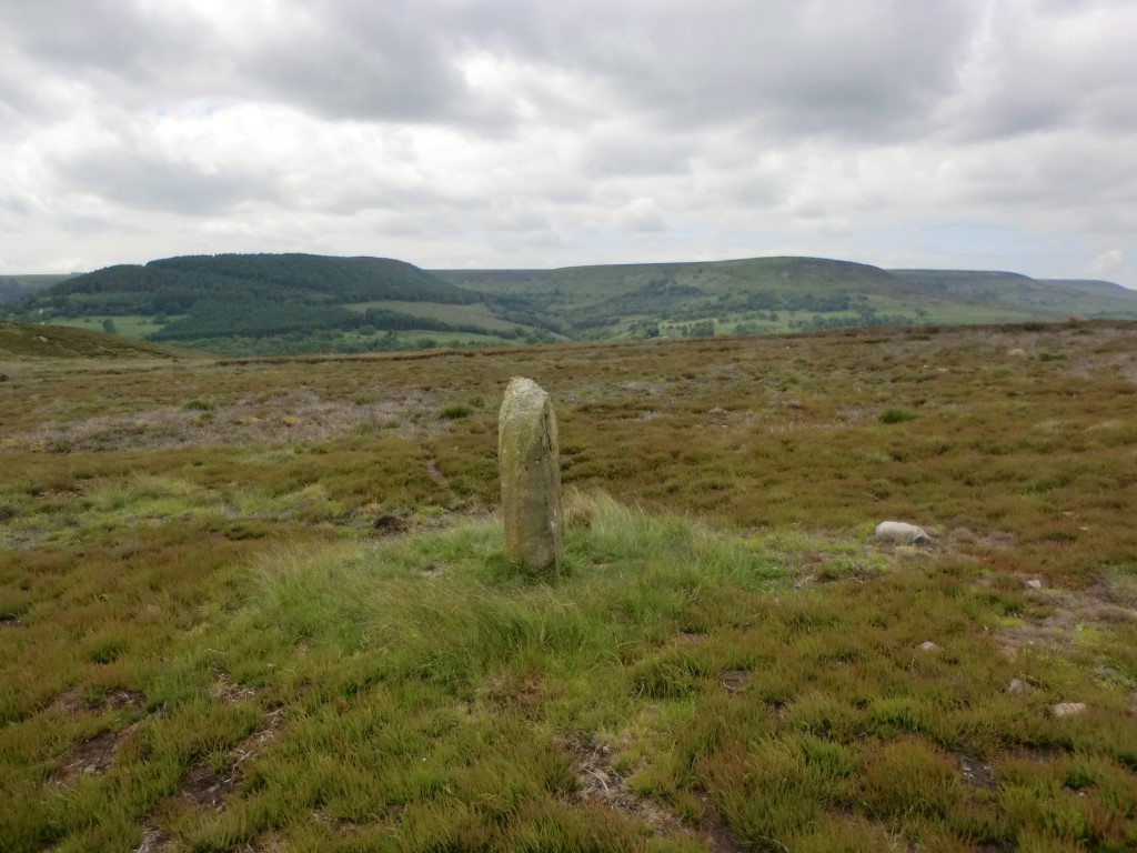 Long Hill (Hawnby Moor) MS1 Marker Stone : The Megalithic Portal and ...