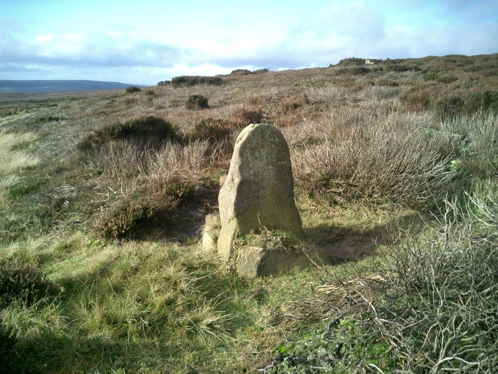 Slape Wath Moor Waymarkers, Yorkshire (North) | Megalithic Portal