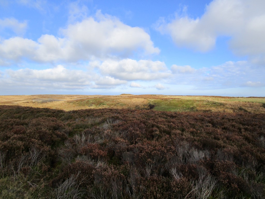 Black Howe (Waupley Moor), Yorkshire (North) | Megalithic Portal
