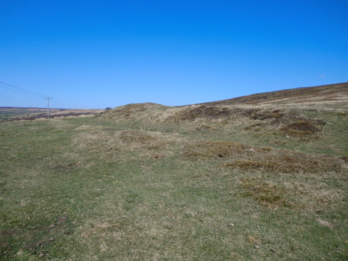 Box Hall Defended Settlement, Yorkshire (North) | Megalithic Portal