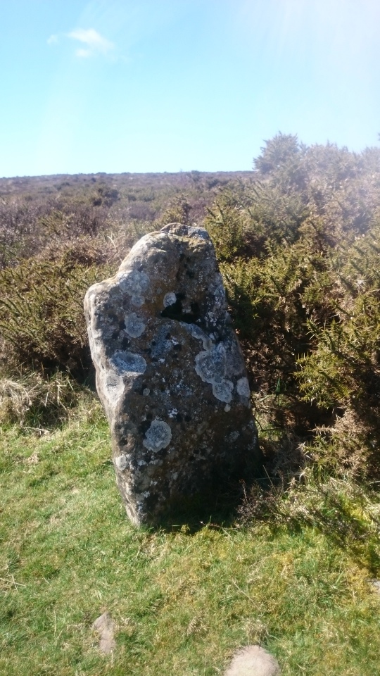 Holford Standing Stone, Somerset | Megalithic Portal