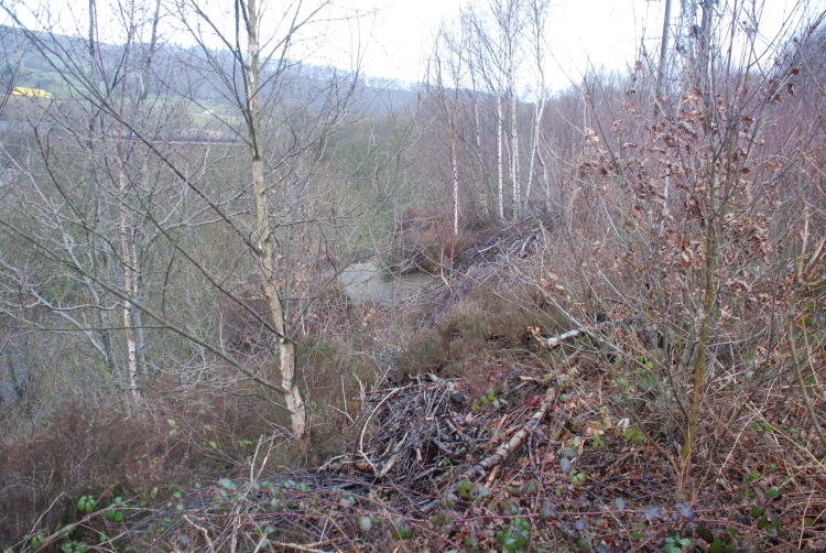 Deepcar Mesolithic Settlement Ancient Village or Settlement : The ...