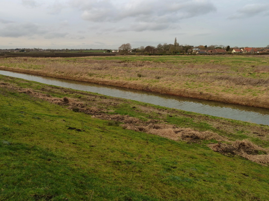 Fiskerton Iron Age causeway Ancient Village or Settlement : The ...