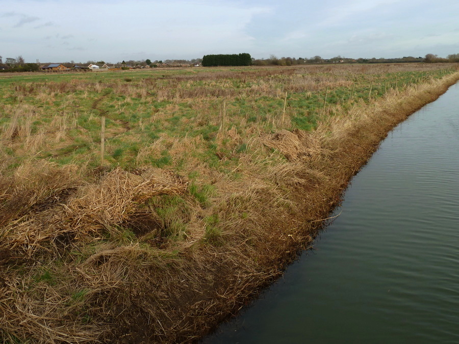 Fiskerton Iron Age causeway Ancient Village or Settlement : The ...