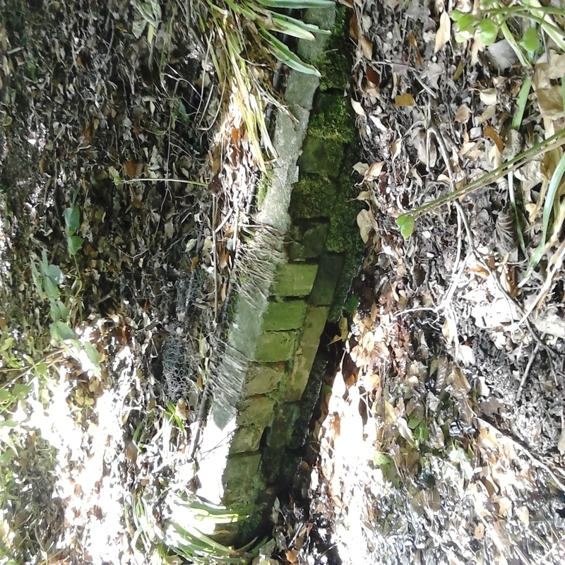 Lady Well, Woolpit Holy Well or Sacred Spring : The Megalithic Portal ...