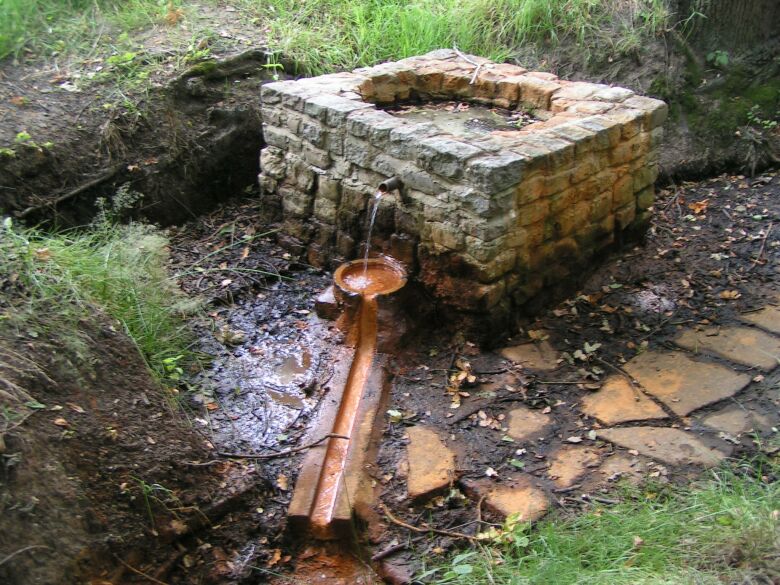 St John the Baptist's Well (Bisley), Surrey | Megalithic Portal