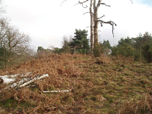 Tyting Farm Bowl Barrow, Surrey | Megalithic Portal
