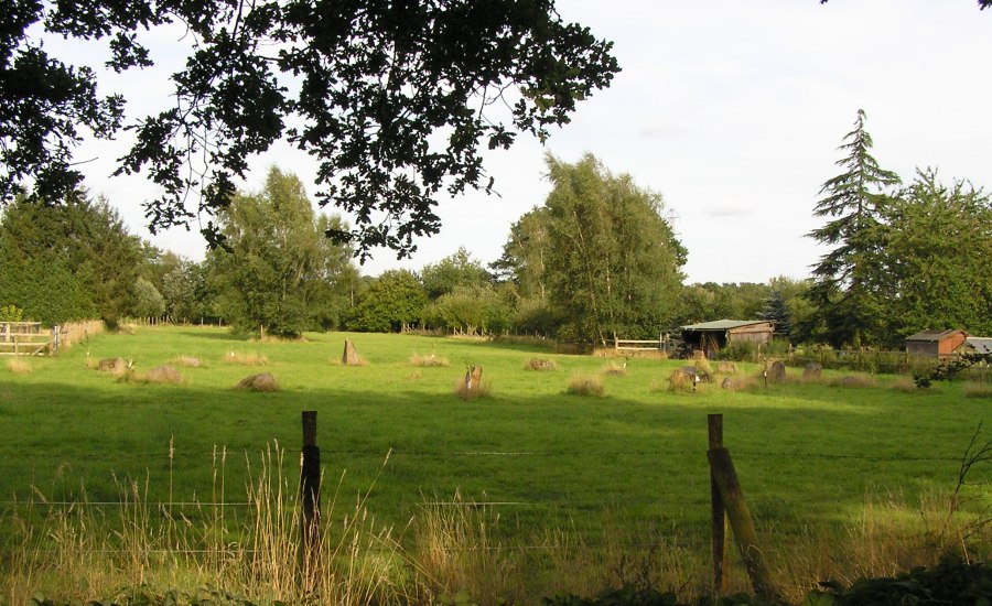 Jack Temple Healing Centre, Surrey | Megalithic Portal