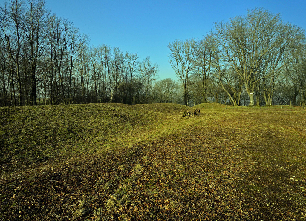 Heyshott Down Cross Dyke [Heyshott Barrow] Misc. Earthwork : The ...