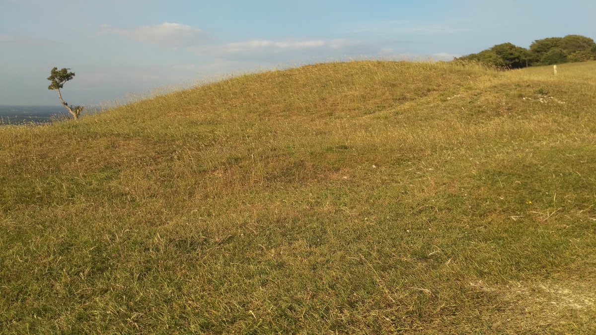 Fulking Hill Tumulus 1, West Sussex | Megalithic Portal