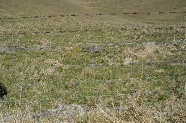 Tan Hill Stone Circle, Wiltshire | Megalithic Portal