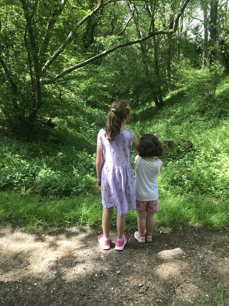 Membury Fort, Wiltshire | Megalithic Portal