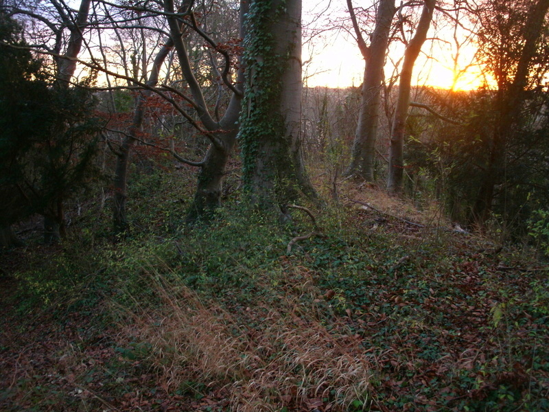 Vespasian's Camp, Wiltshire | Megalithic Portal