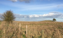 Bush Barrow, Wiltshire | Megalithic Portal