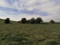 Burderop Down, Wiltshire | Megalithic Portal