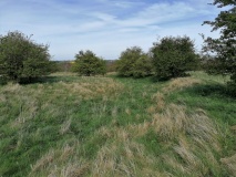 Burderop Down, Wiltshire | Megalithic Portal