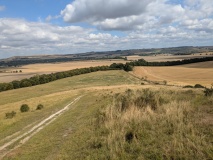 Burderop Down, Wiltshire | Megalithic Portal