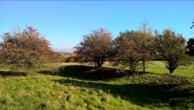 Burderop Down, Wiltshire | Megalithic Portal