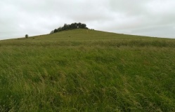 Burderop Down, Wiltshire | Megalithic Portal