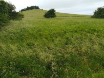 Burderop Down, Wiltshire | Megalithic Portal