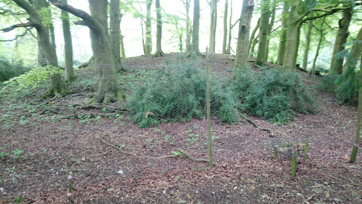 Upton Great Barrow, Wiltshire | Megalithic Portal