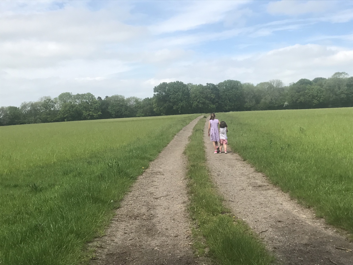 Membury Fort, Wiltshire | Megalithic Portal