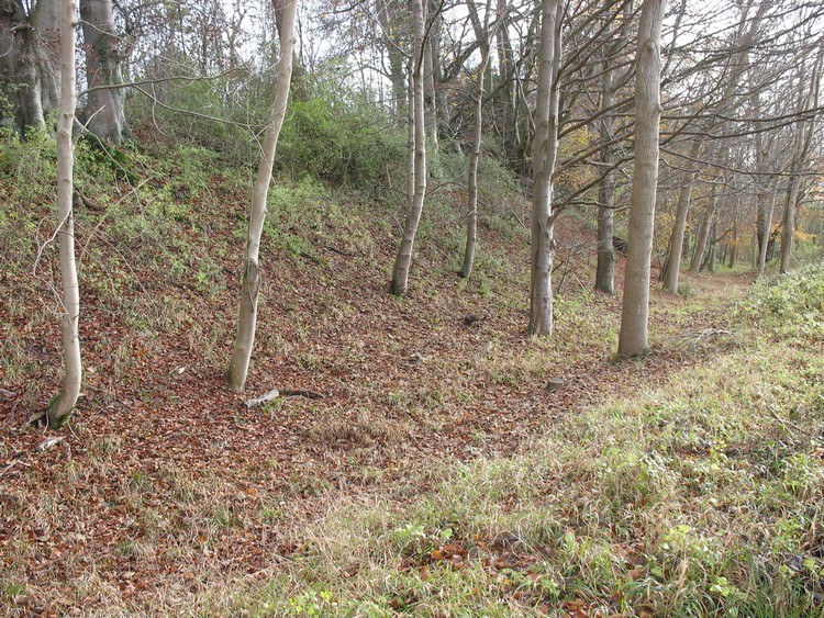 Vespasian's Camp [Vespasians Camp] Hillfort : The Megalithic Portal and ...