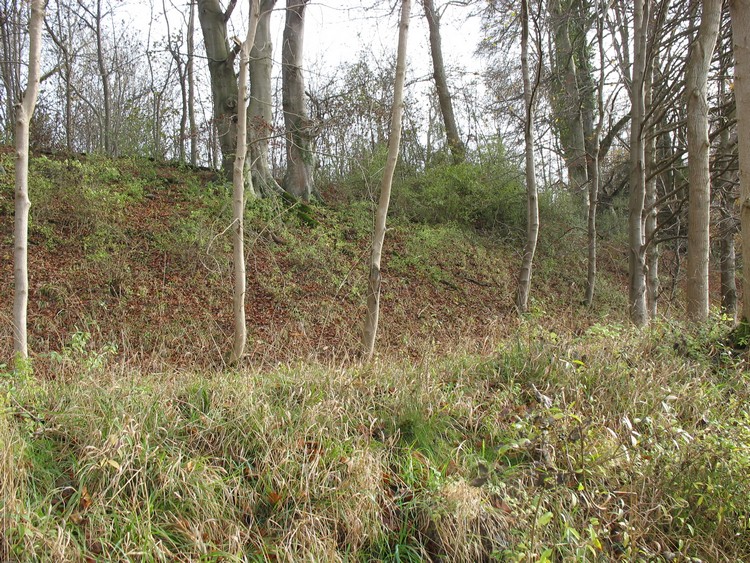 Vespasian's Camp, Wiltshire | Megalithic Portal