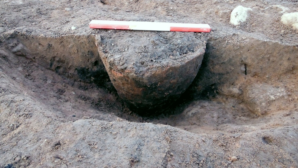 Bucklow Hill Round Barrow(s) : The Megalithic Portal and Megalith Map: